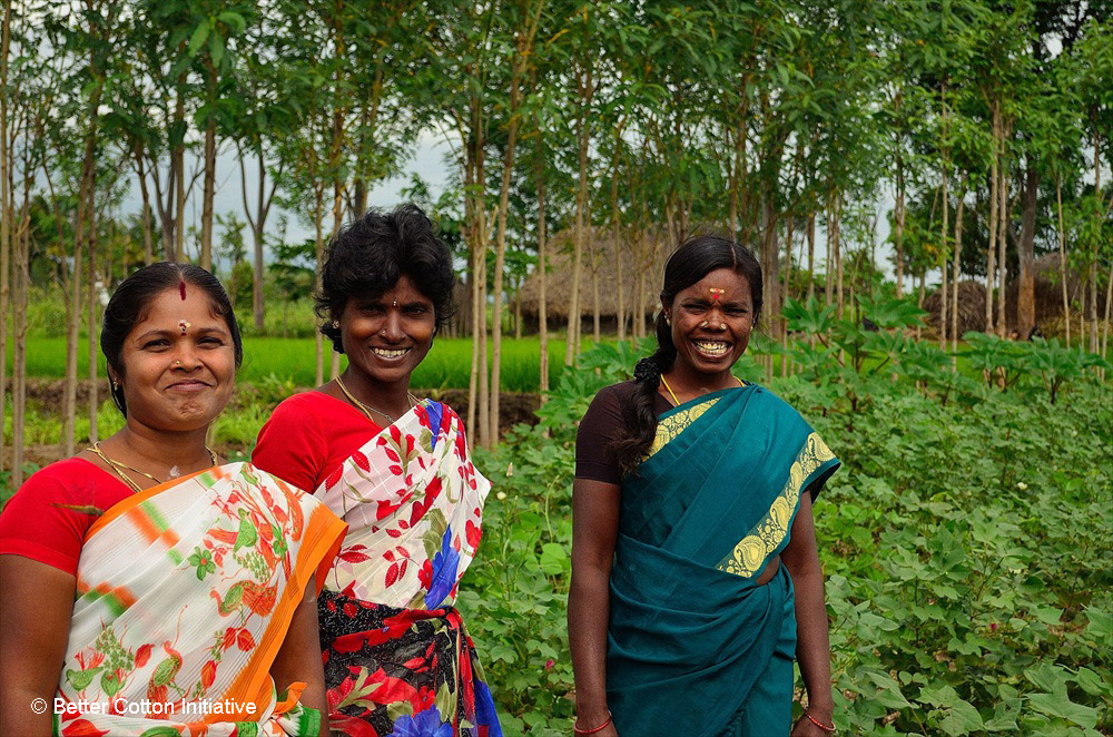 Tonrose Group pledges to make 10% of its cotton procurement ‘Better’ by ...