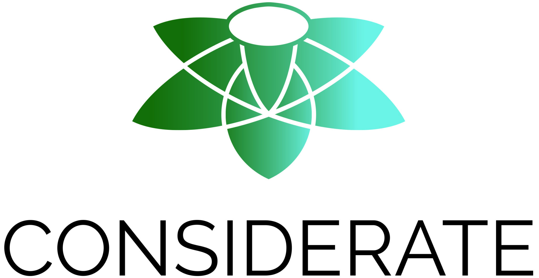 Considerate Hoteliers rebrands to put tech on the front foot