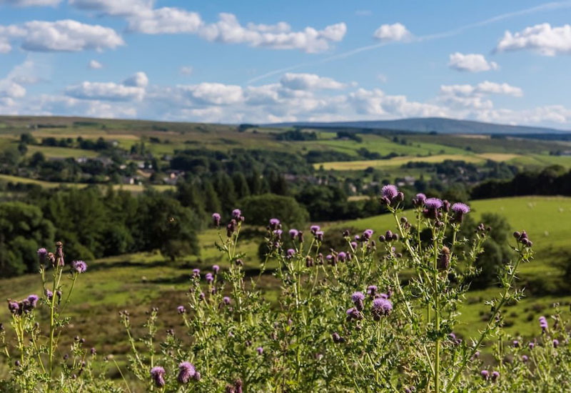 Gilsland Hall Interview: Transforming a forgotten hotel