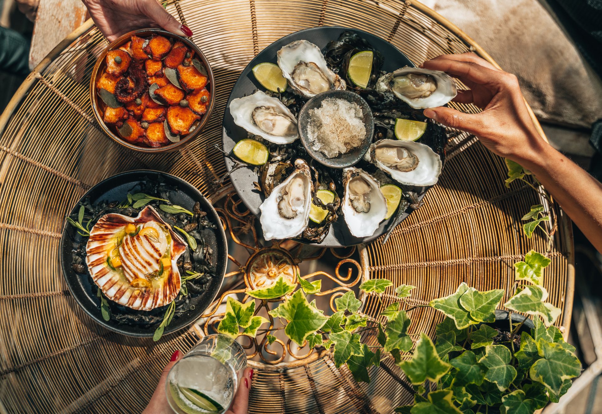 YOPO at The Mandrake reopens with new look